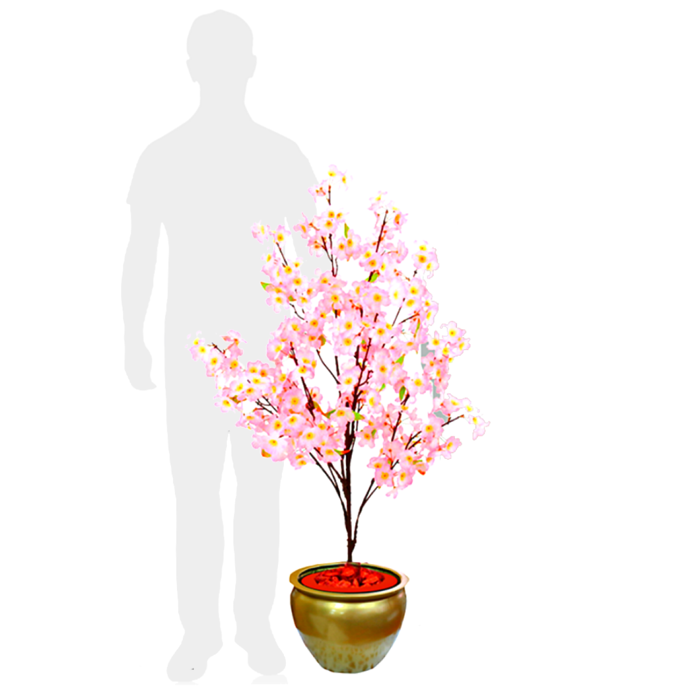 Sakura Cherry Blossom Potted Plant - SG Largest CNY and Mid Autumn ...