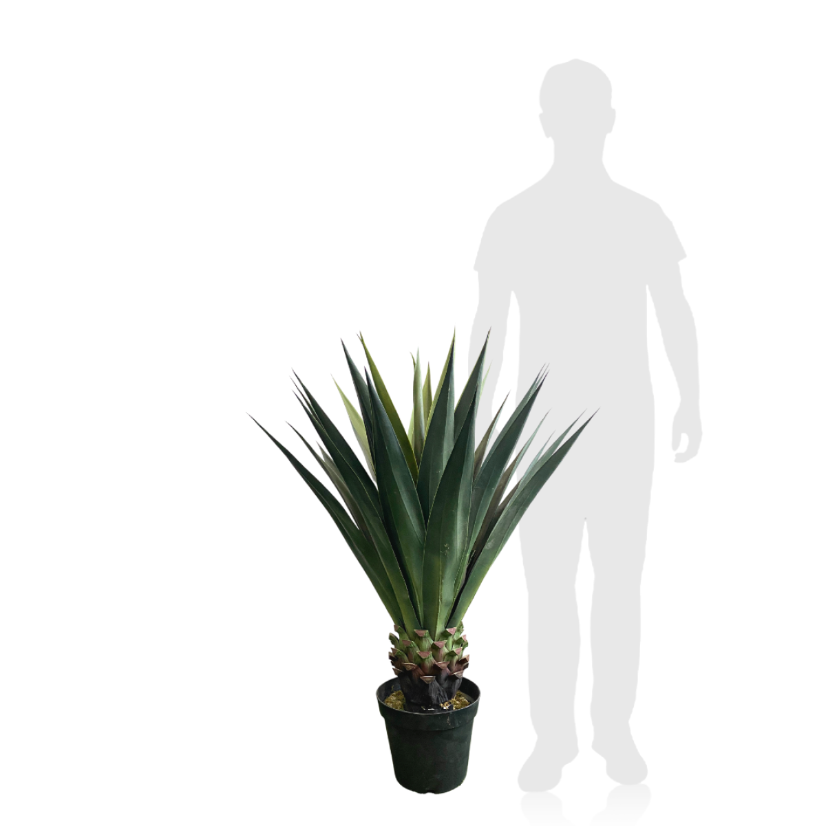 Agave Potted Plant - SG Artificial Trees and Plants Rental Platform