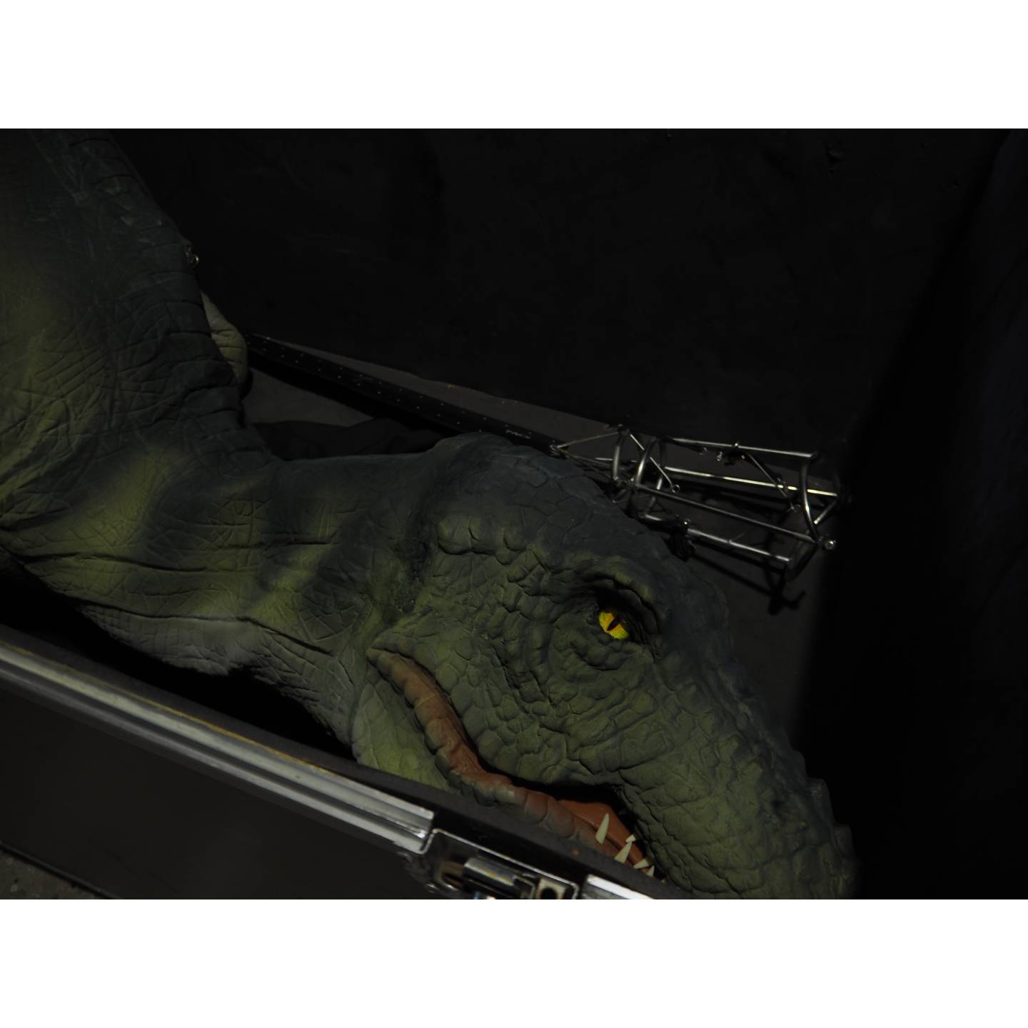 Tammy the Trex Mummy - Rent jurassic park full size dinosaur and ...