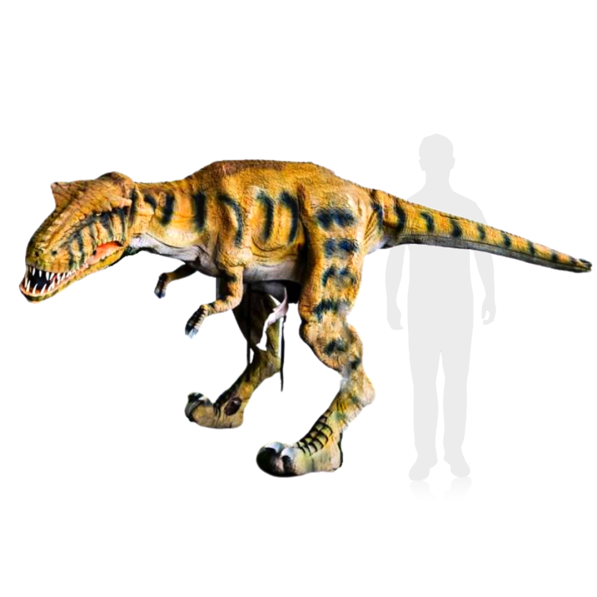 Tammy the Trex Mummy - Rent jurassic park full size dinosaur and ...