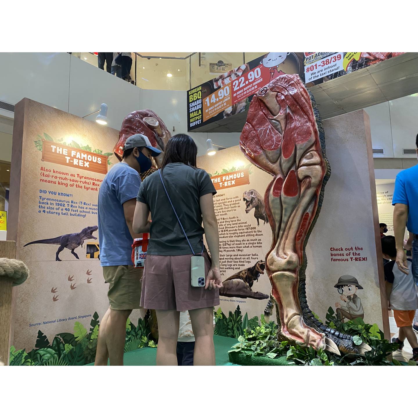 Life Size Trex Leg - Rent jurassic park decor and full size dinosaur ...