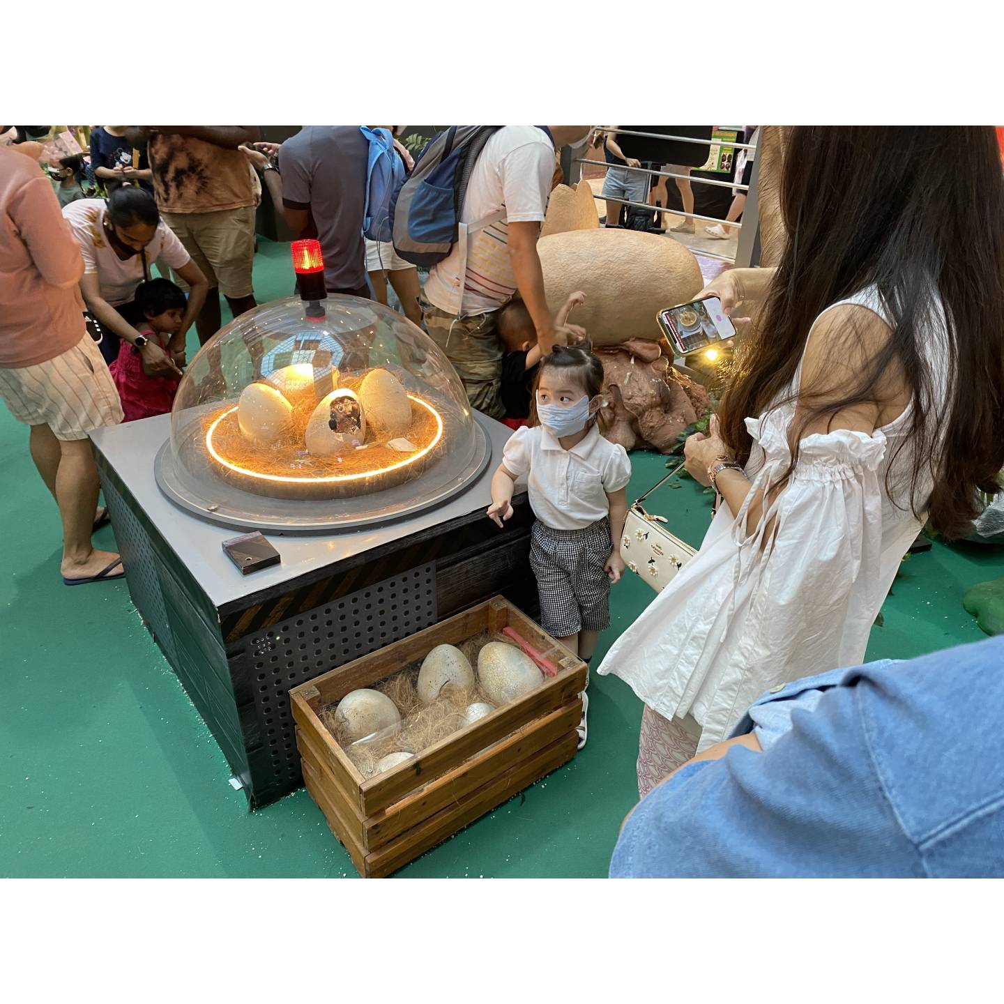 SG Largest Jurassic Dinosaur Event Decor Rental Platform - Dino Eggs in ...