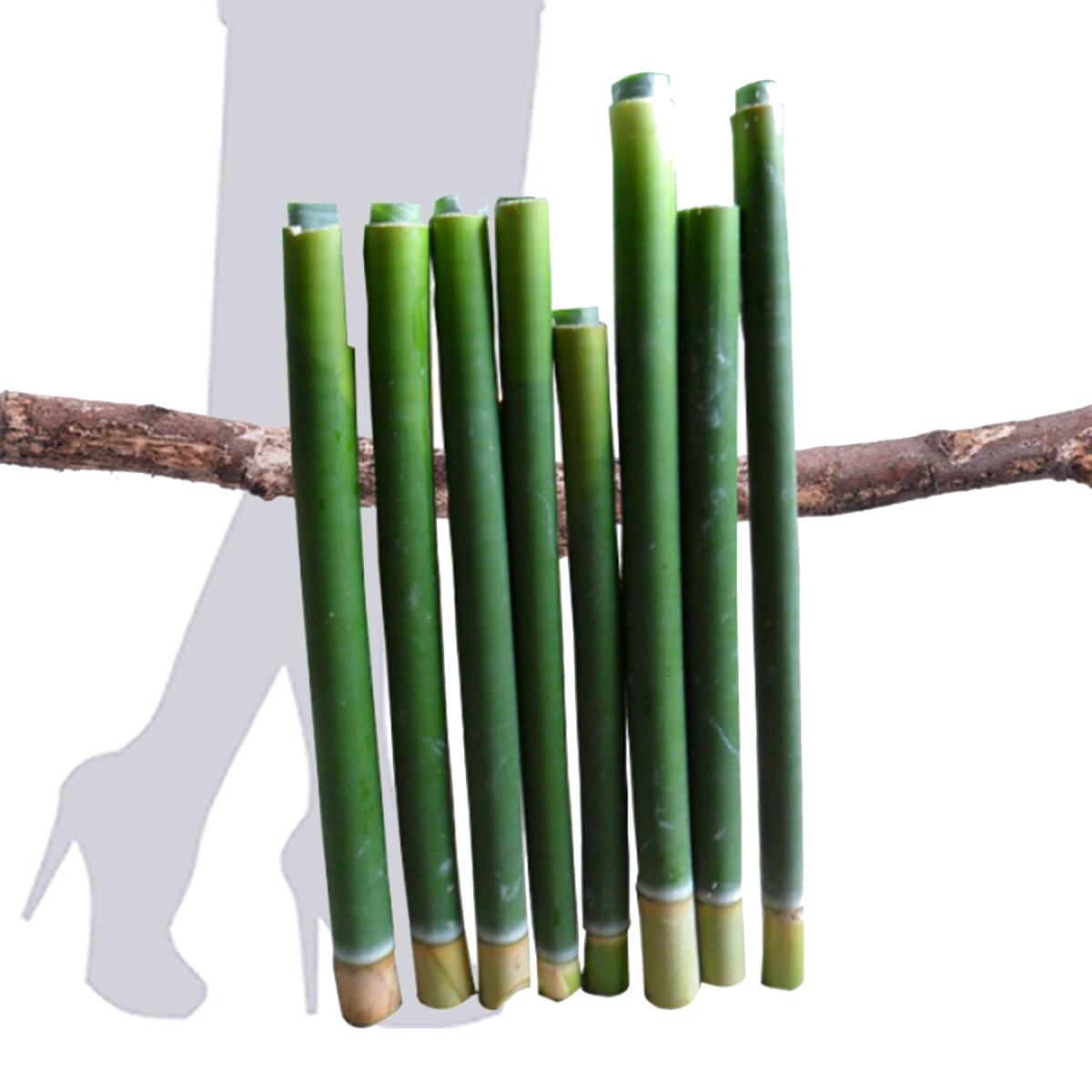 SG Largest Food Prop Decor Rental Platform - Lemang