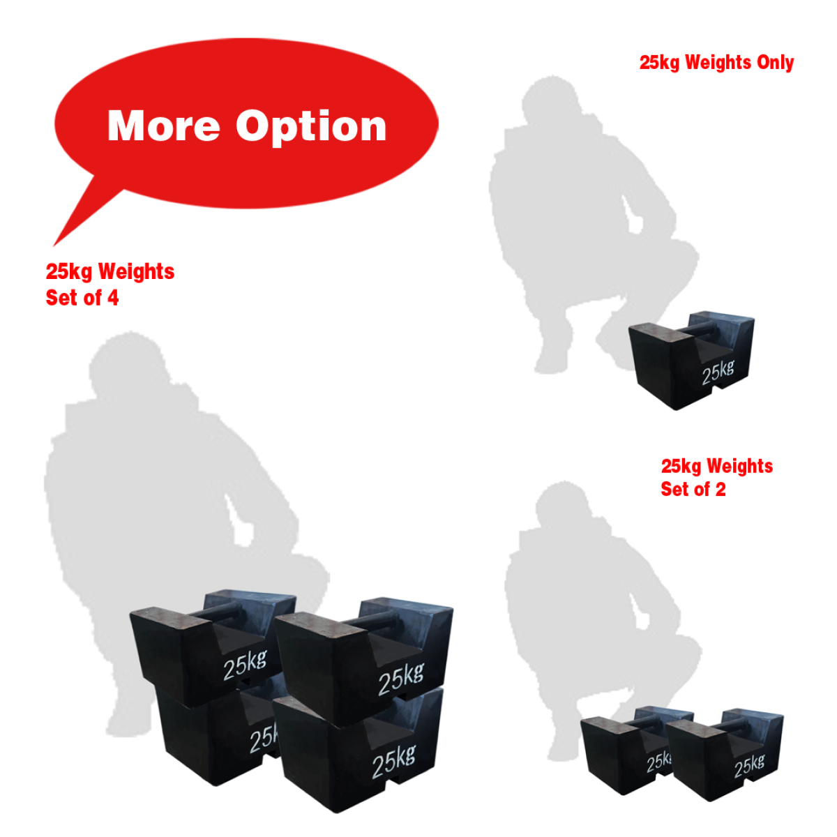 1 x 25Kgs Weight - SG's Largest Event Accessories and Weight Rental ...
