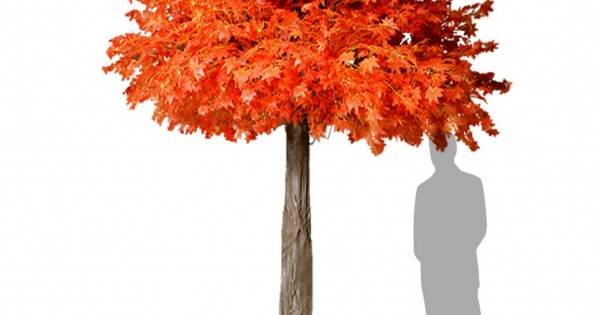 Maple Tree - SG's Largest Artificial Outdoor Large Trees and Mid Autumn ...