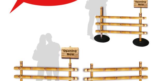 Bamboo Barrier with Bamboo Light Torches - SG's Largest Thematic ...