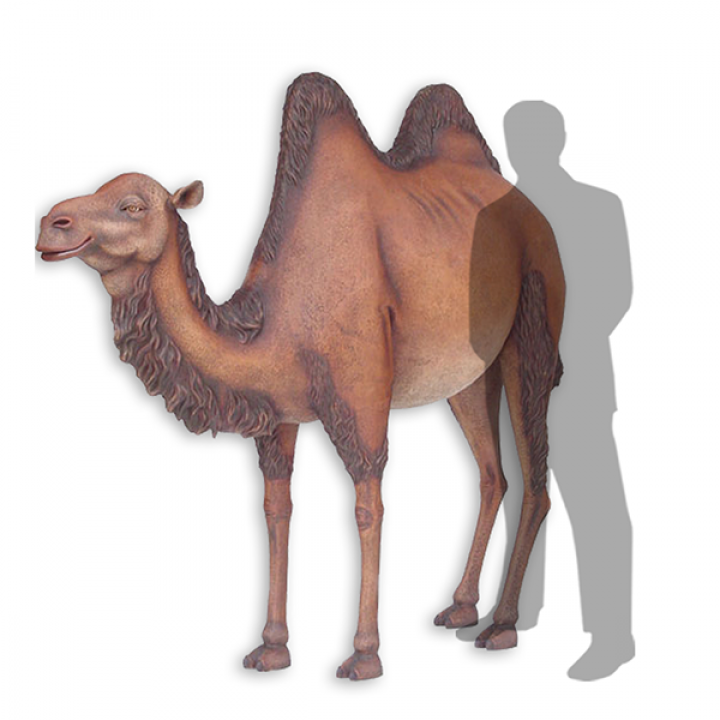 Camel - SG's Largest Life Size Animal Imitation and Desert Decor Rental ...