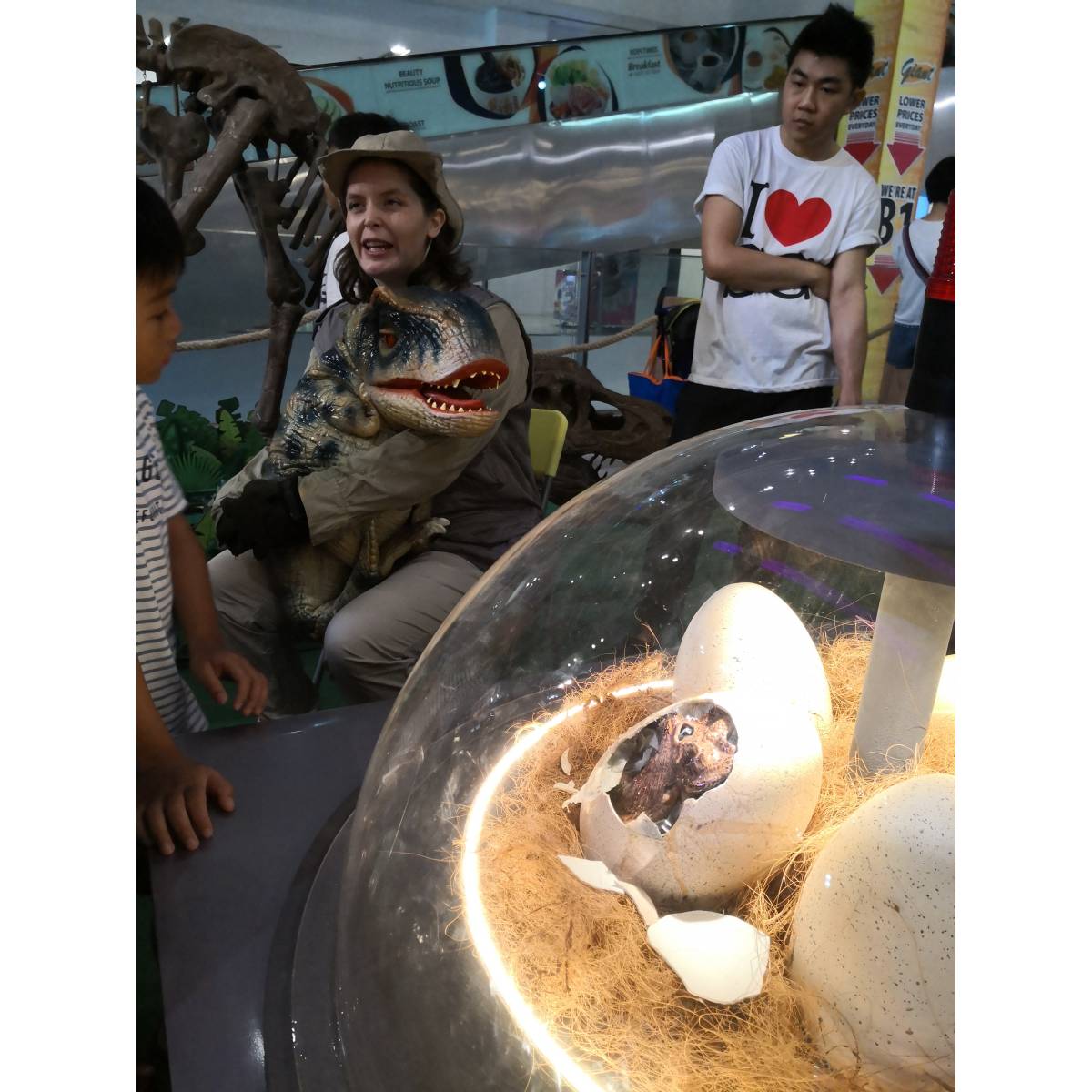 Dinosaur Eggs Incubator - SG Largest Jurassic Dinosaur Event Decor ...