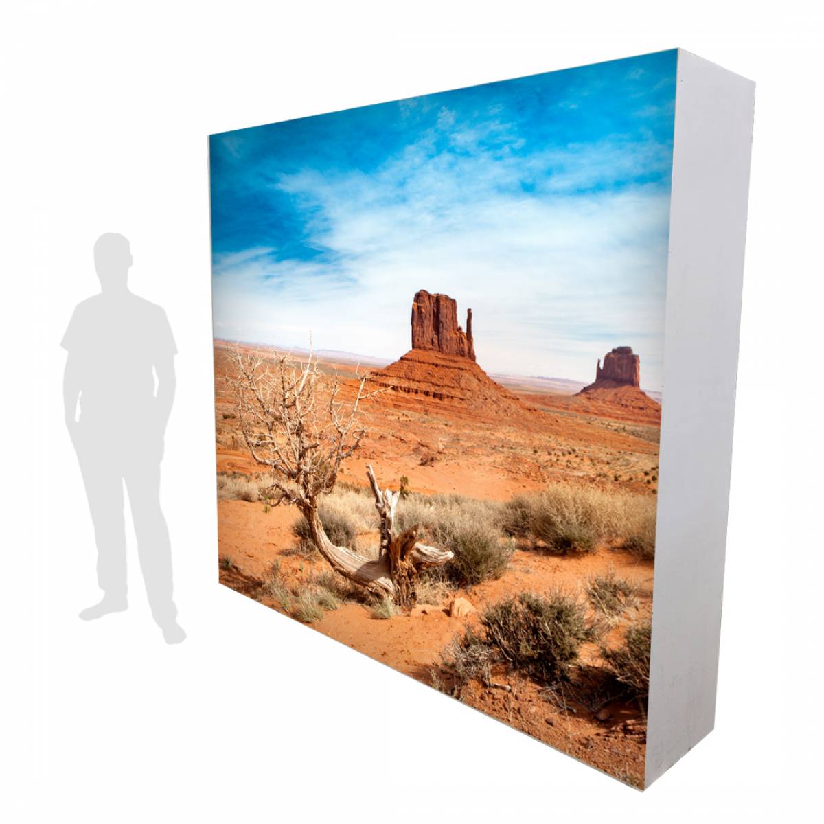 Self-standing Outback Desert Backdrop with Kangaroo and Bamboo Barriers ...