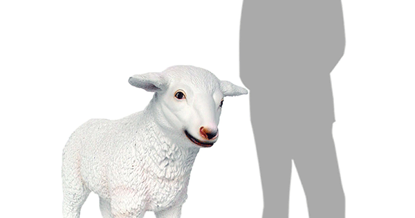 SG Largest Farm Animal Event Decor Rental Platform - Life Size Lamb