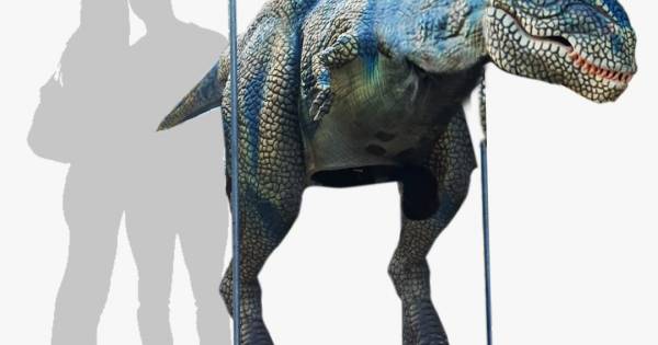 Tyra the T-rex Mummy for Display - Rent jurassic park full size ...