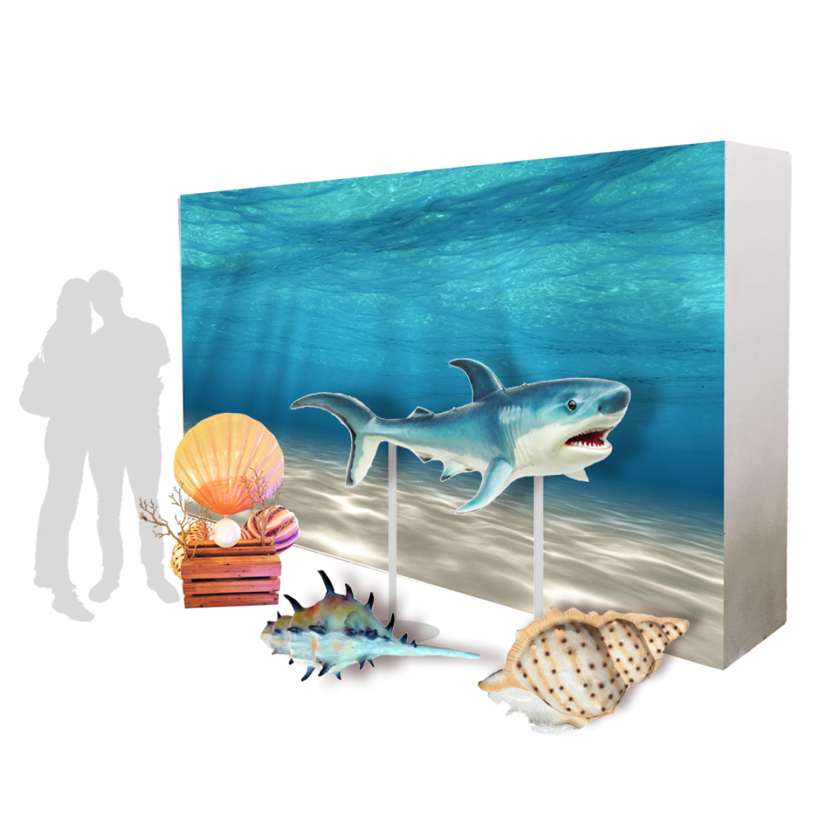 Underwater Theme Backdrops, Shark, Giant Seashell and Conches - SG's ...