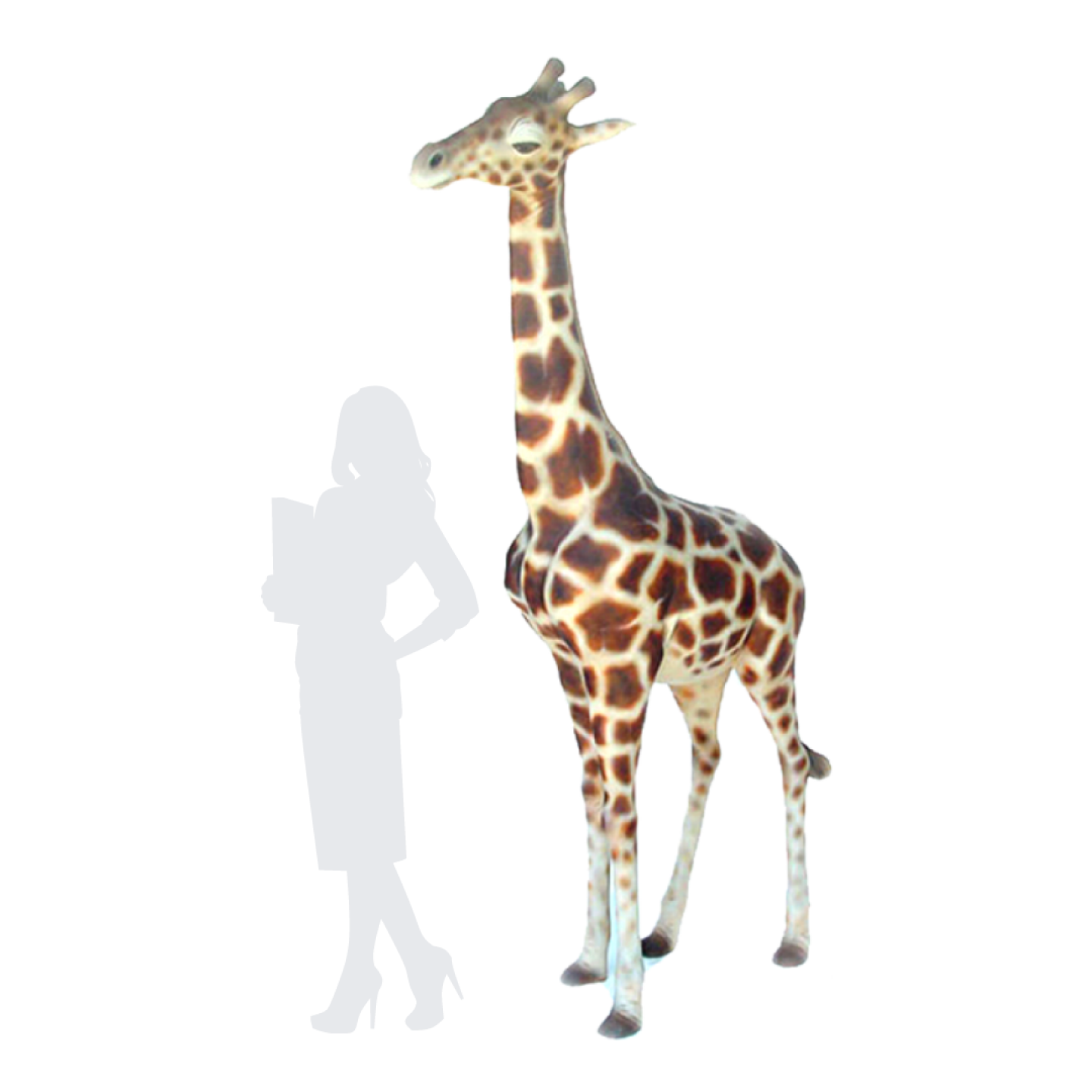 Giraffe - SG Largest Wildlife Animal Event Decor Rental Platform