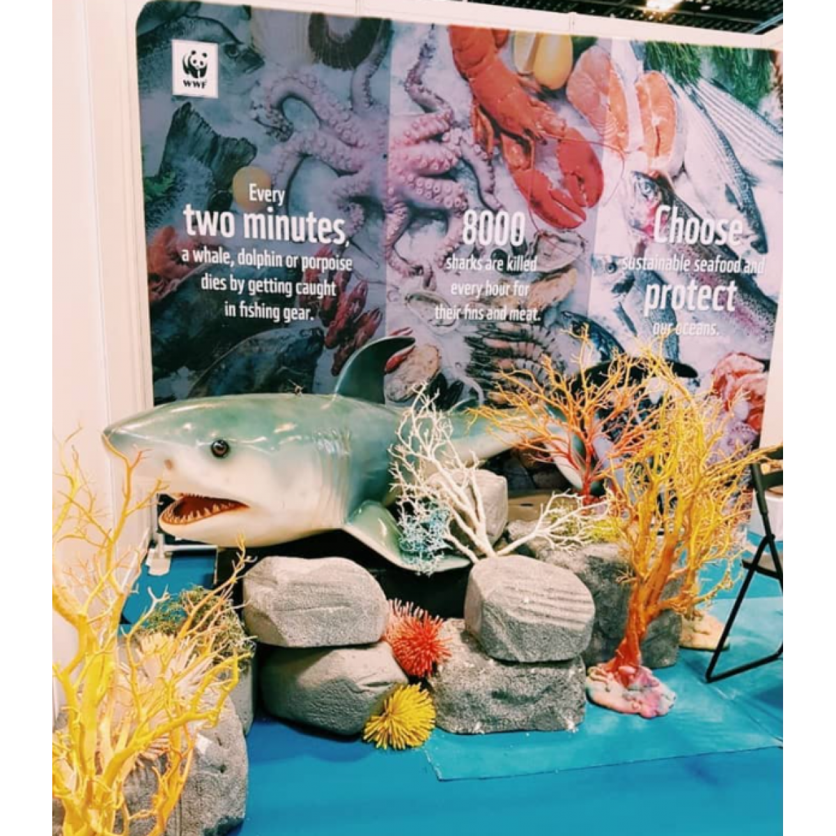 Great White Shark - SG Largest Shark Sculpture and Under the Sea Props ...