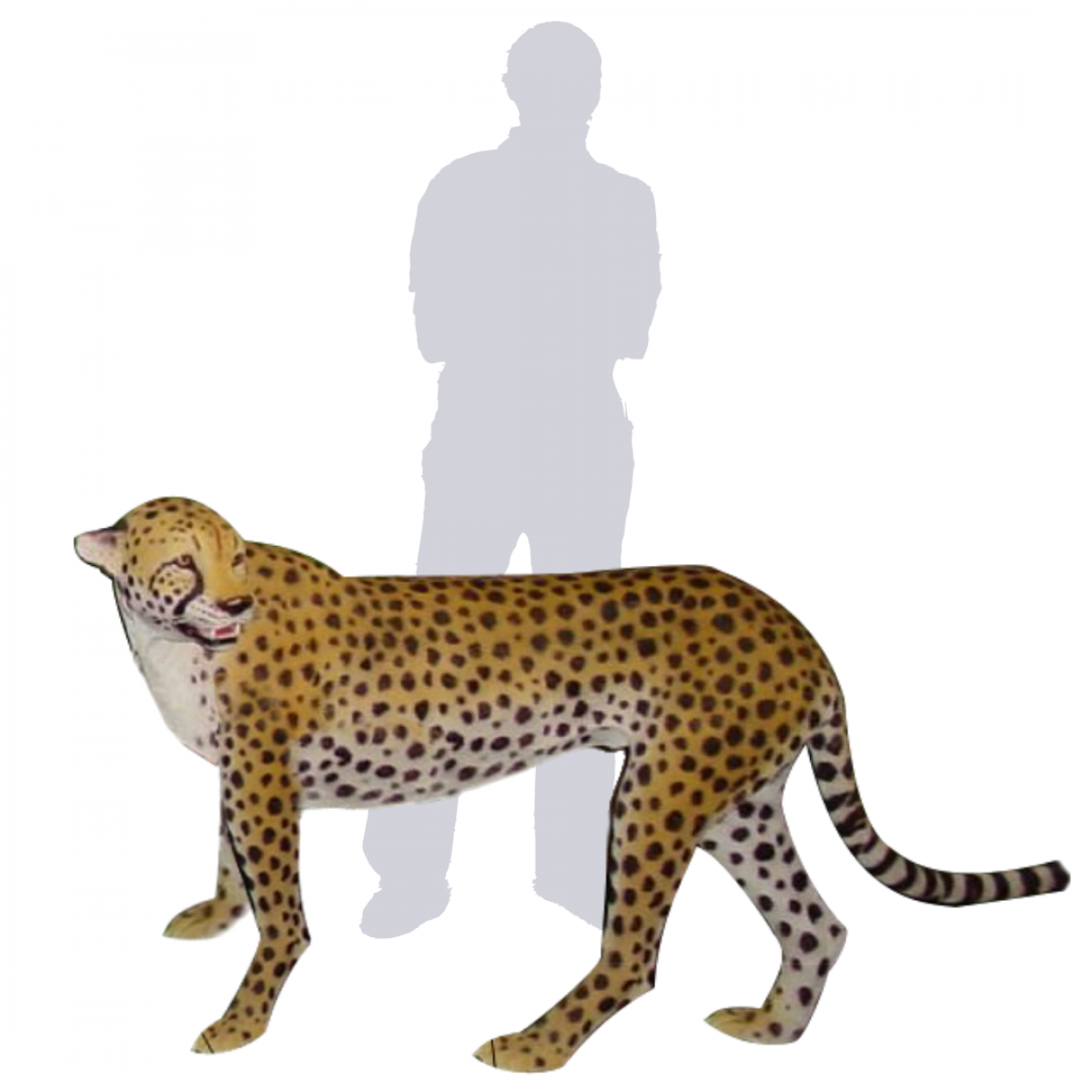 Cheetah - SG Largest's Realistic Animal Replicas and Decor as Sahara ...