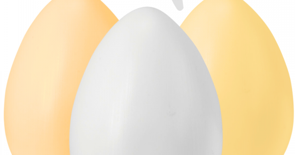 Large Eggs - SG's Largest Deco Egg and Farmhouse theme decor Rental