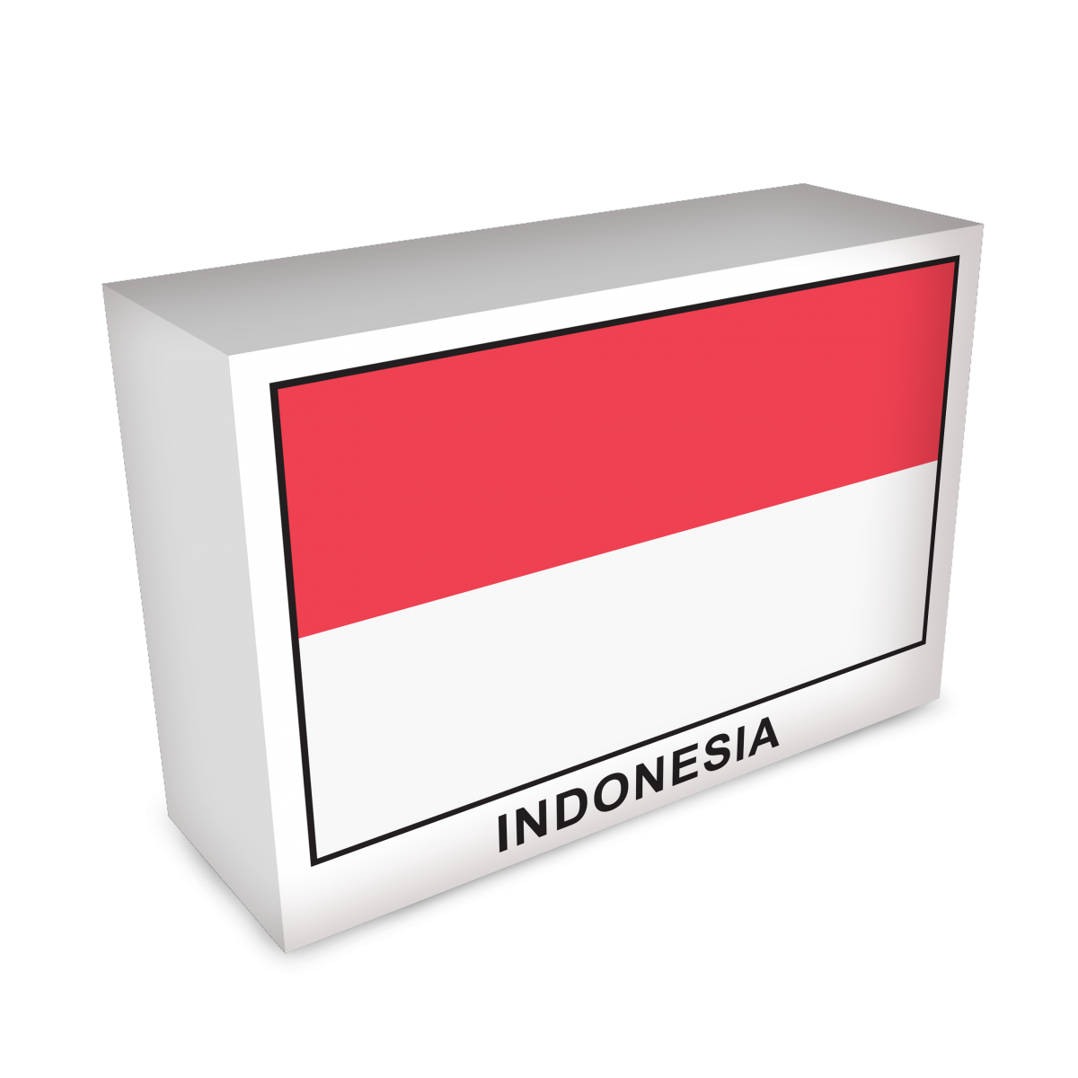 Giant Erasers - Old School Flag Eraser Games SG Rental Props