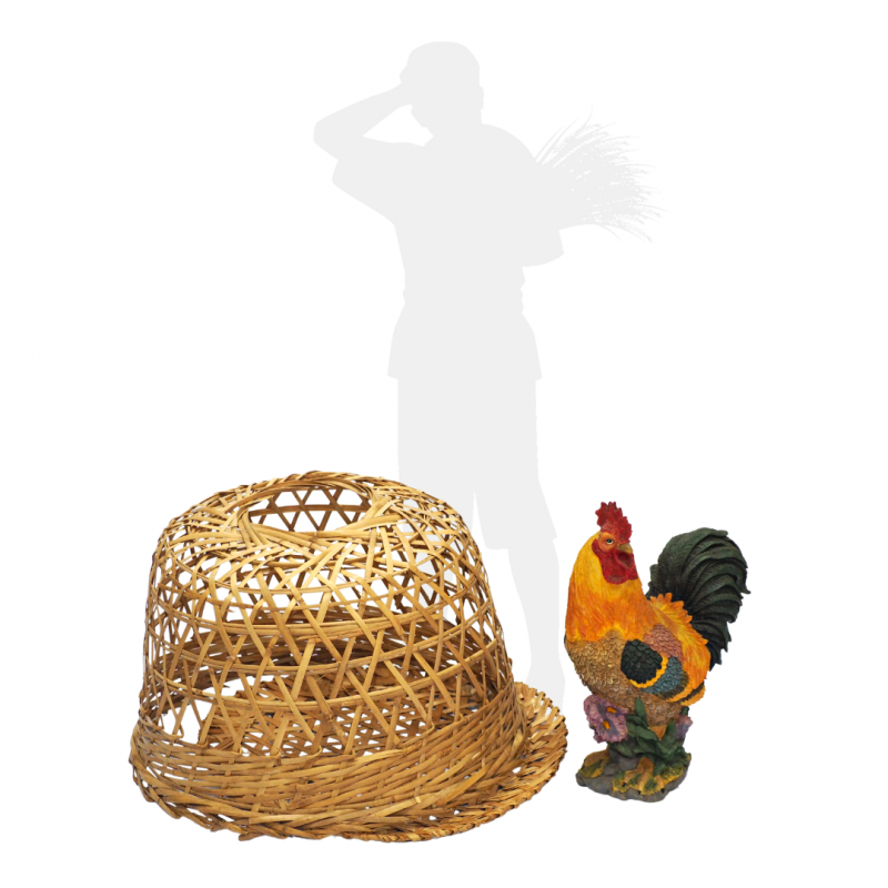 Chicken Coop - SG's Largest Farm Props and Decor Rental Platform