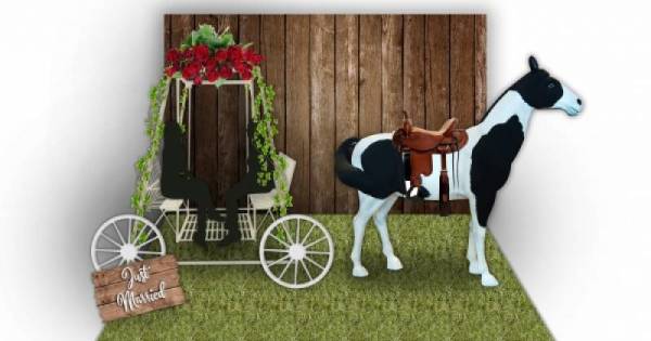 Horse Swing Carriage Package - SG's Largest Thematic Outdoor Event ...