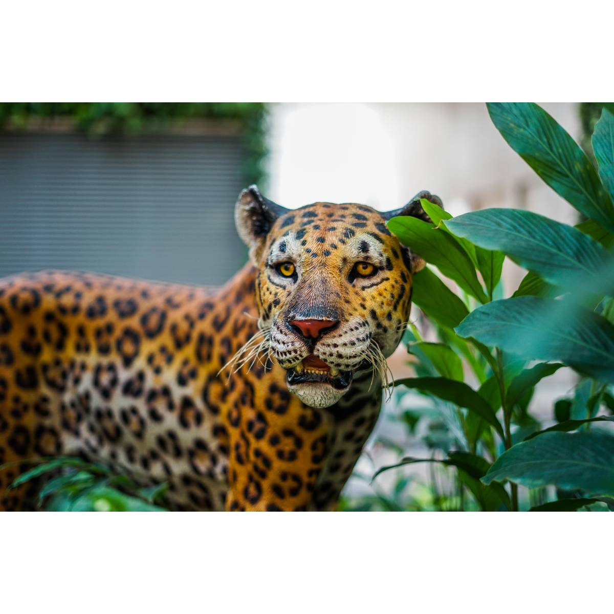 Leopard - SG's Largest Life Size Leopard sculptures as Savanna Props ...