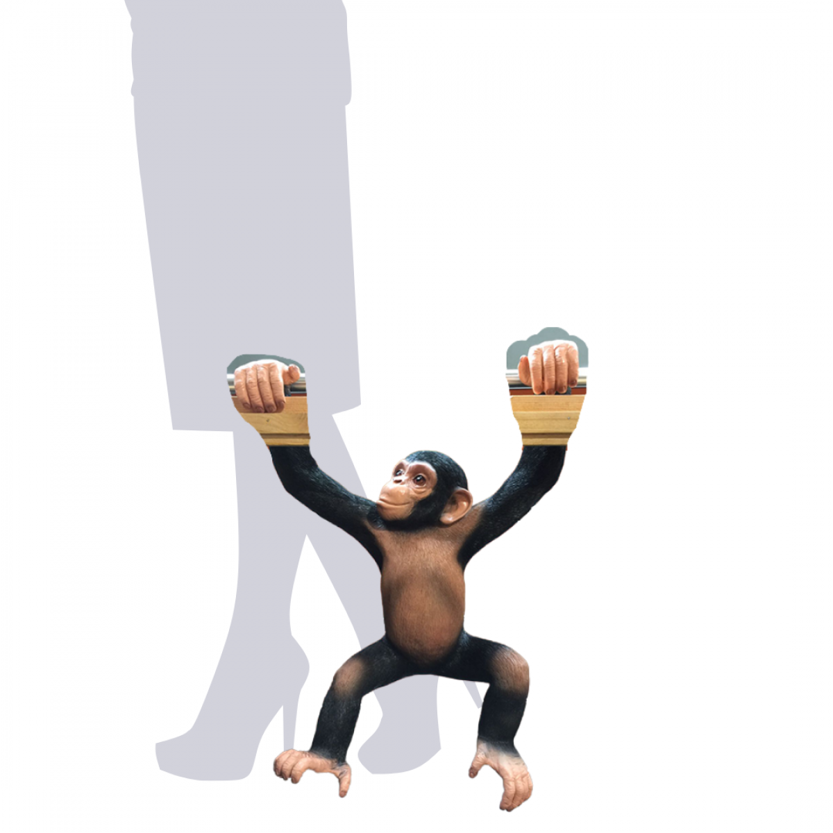 Hanging Monkey - SG's Largest Animal Statues and Sculptures as ...