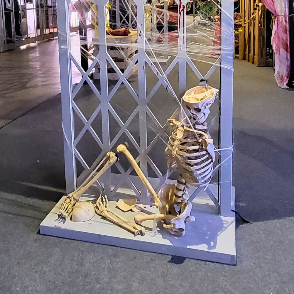 SG Largest Scary Halloween Decoration Rental Platform - Human Skeleton