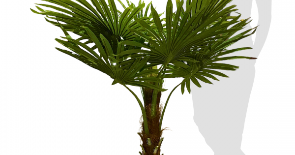 Artificial Small Fan Palm Plant - SG Artificial Trees and Plants Rental ...